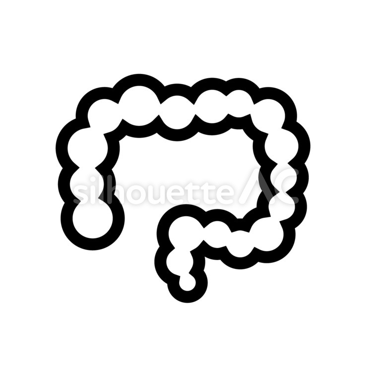 colon 145783 - Free Download - silhouetteAC
